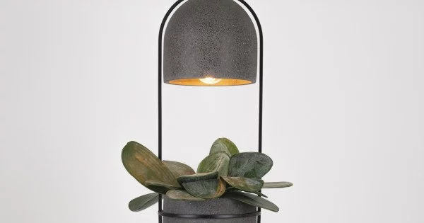 Lampe suspendue Pebble noire avec bac à plantes inclus